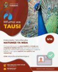Tausi Portal | Kupata Leseni ya Biashara - Tanzania Tech
